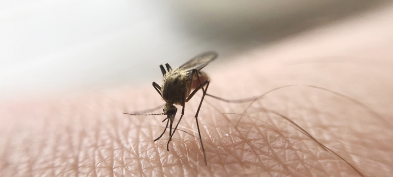 Nair et al. Differential Diagnosis of Malaria on Truelab Uno -a Portable Real-Time MicroPCR ...