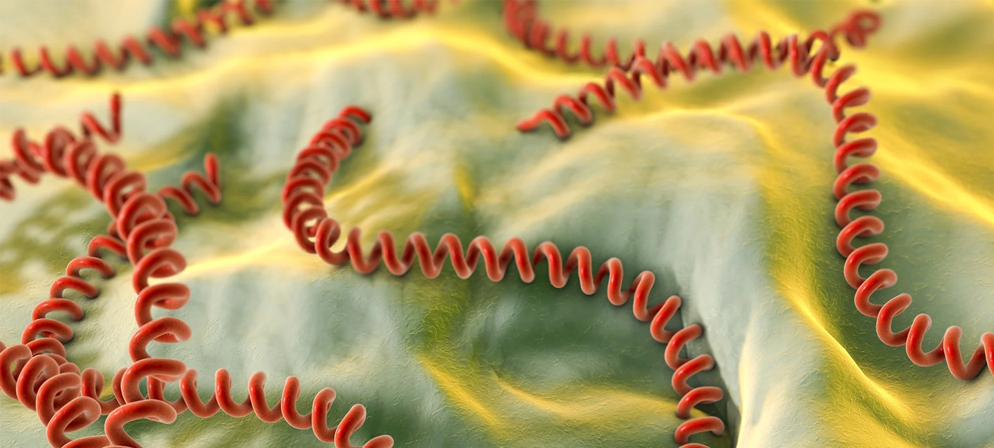 Rajamani et al. Truenat - micro real-time-polymerase chain reaction for ...