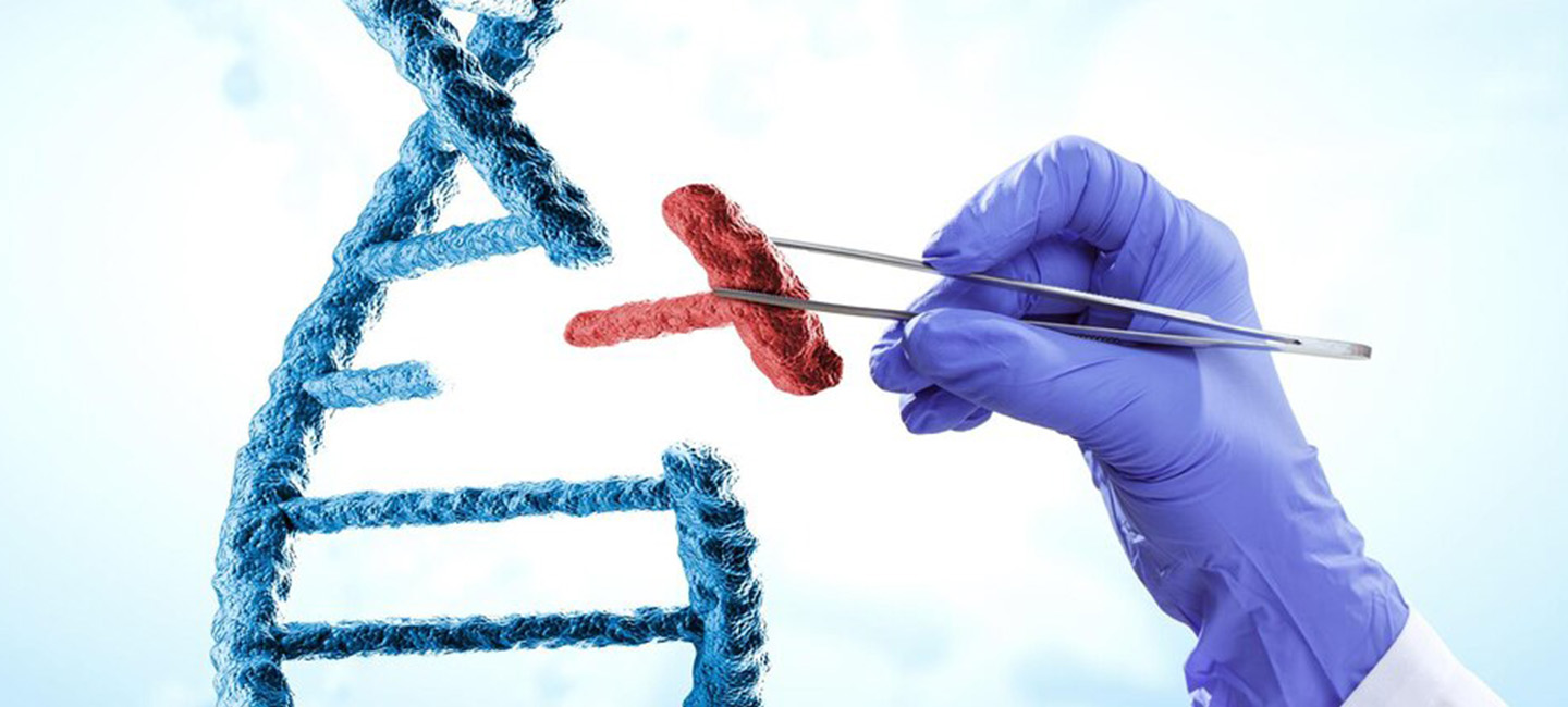 Prakash et al. The development evaluation performance and validation of ...